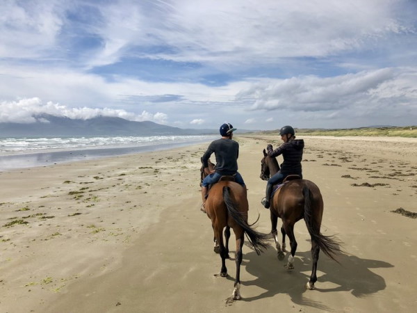 SeaHorse - Beach Horse Riding - IreLuxe
